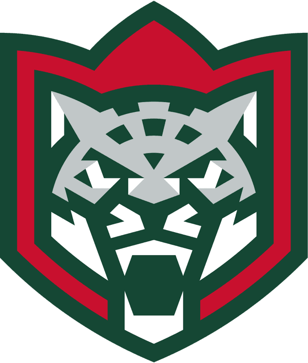 KHL: Amur Khabarovsk vs. Ak Bars Kazan Odds & Predictions (Jan. 15 ...
