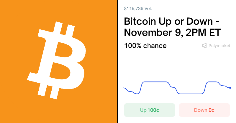 Polymarket | Bitcoin Up or Down - November 9, 2PM ET