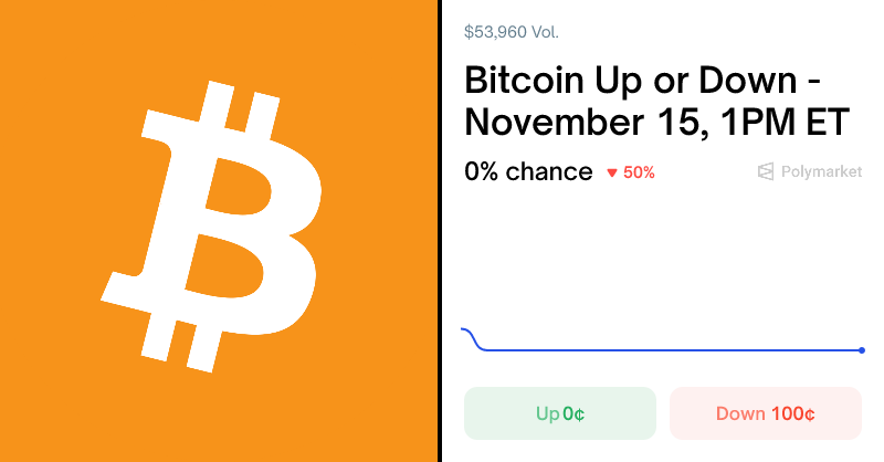 Polymarket | Bitcoin Up or Down - November 15, 1PM ET