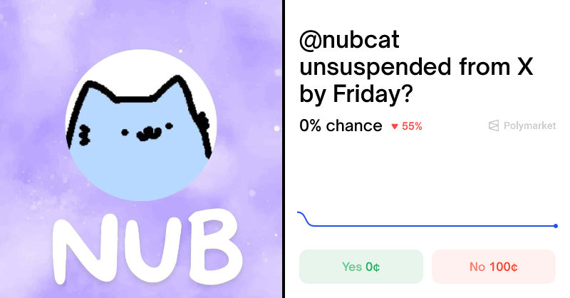 Polymarket | @nubcat unsuspended from X by Friday?