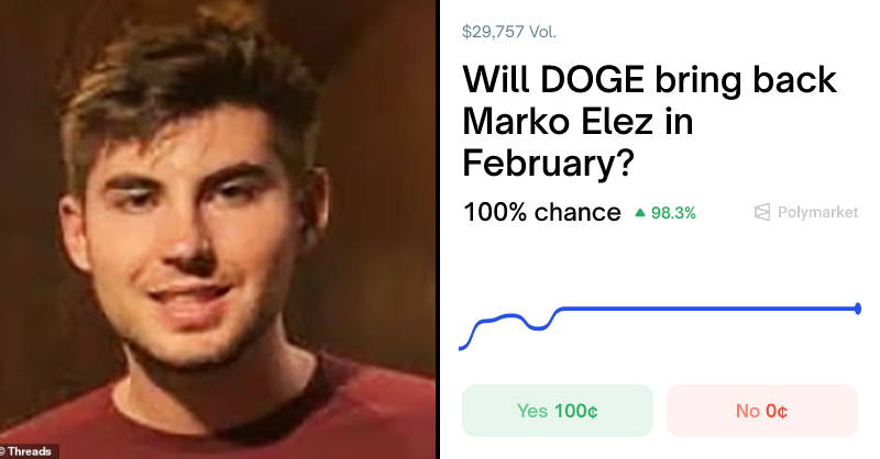 Polymarket | Will DOGE bring back Marko Elez in February?...