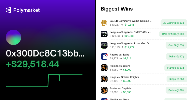 Polymarket - Profile